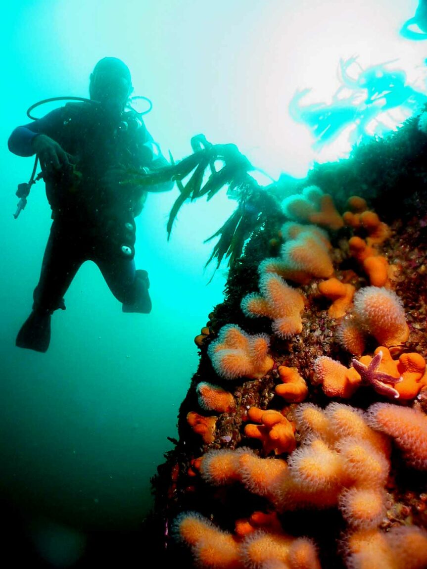 Archimedes Principle for Scuba Diving | Abyss Ocean World