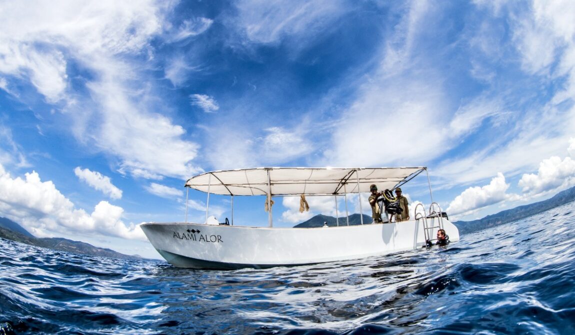 Alor | Dive Safari | Resort Abyss Ocean World