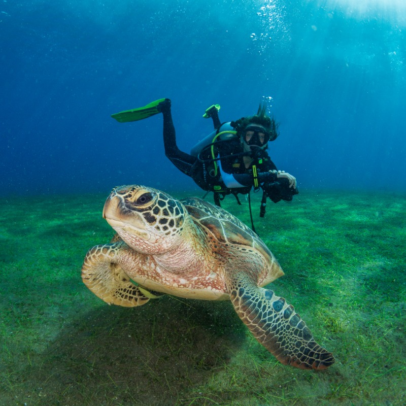 Dive & Conservation Specialties