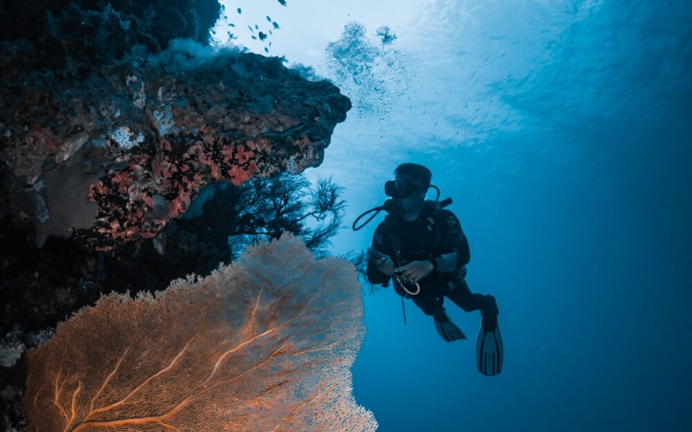 PADI Deep Diver Certification - Bali | Abyss Ocean World